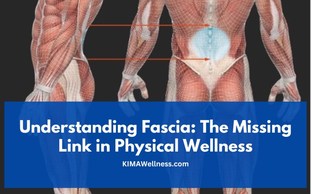 Understanding Fascia: The Missing Link in Physical Wellness