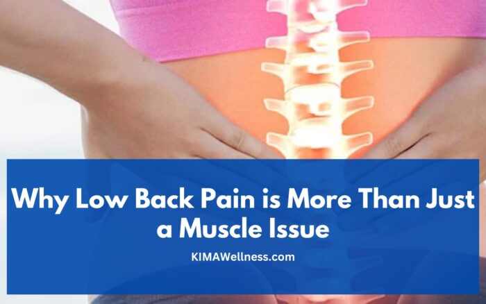 Why Low Back Pain is More Than Just a Muscle Issue